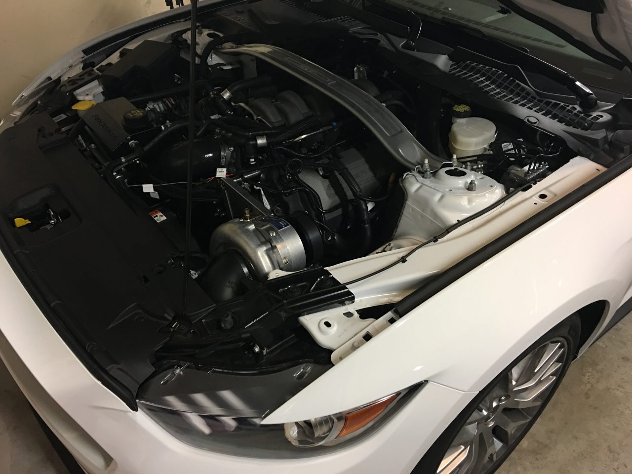 ProCharger Mustang Install Finished – dovidenko.com